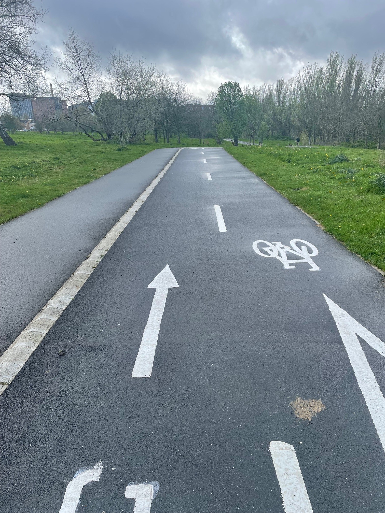 Case Study - Liverpool City Council (Everton Park Cycleway) - Dowhigh