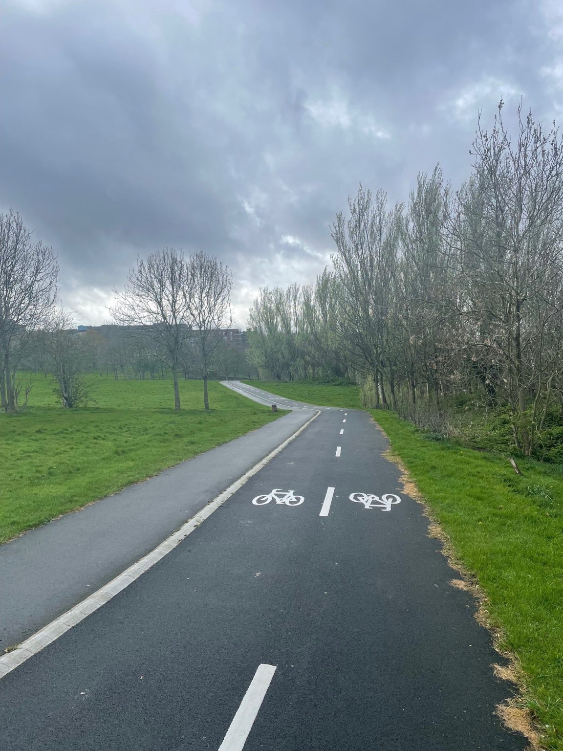 Case Study - Liverpool City Council (Everton Park Cycleway) - Dowhigh